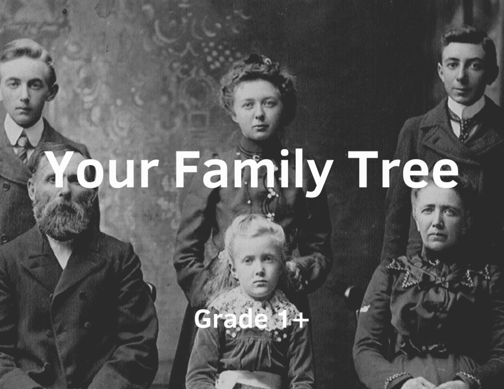 Online Learning Hub | Museum of Dufferin